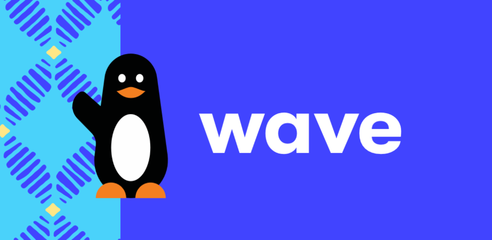 Wave : l'outsider californien qui bouleverse le Mobile Money