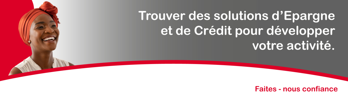 COFINA TOGO S.A (COMPAGNIE FINANCIERE AFRICAINE) : Mésofinance