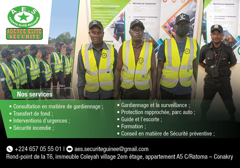AGENCE ELITE SECURITE (A. E. S SARL) - Gardiennage -Sécurité