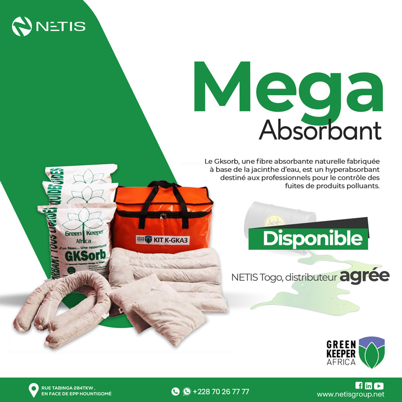 NETIS TOGO - Groupe électrogène