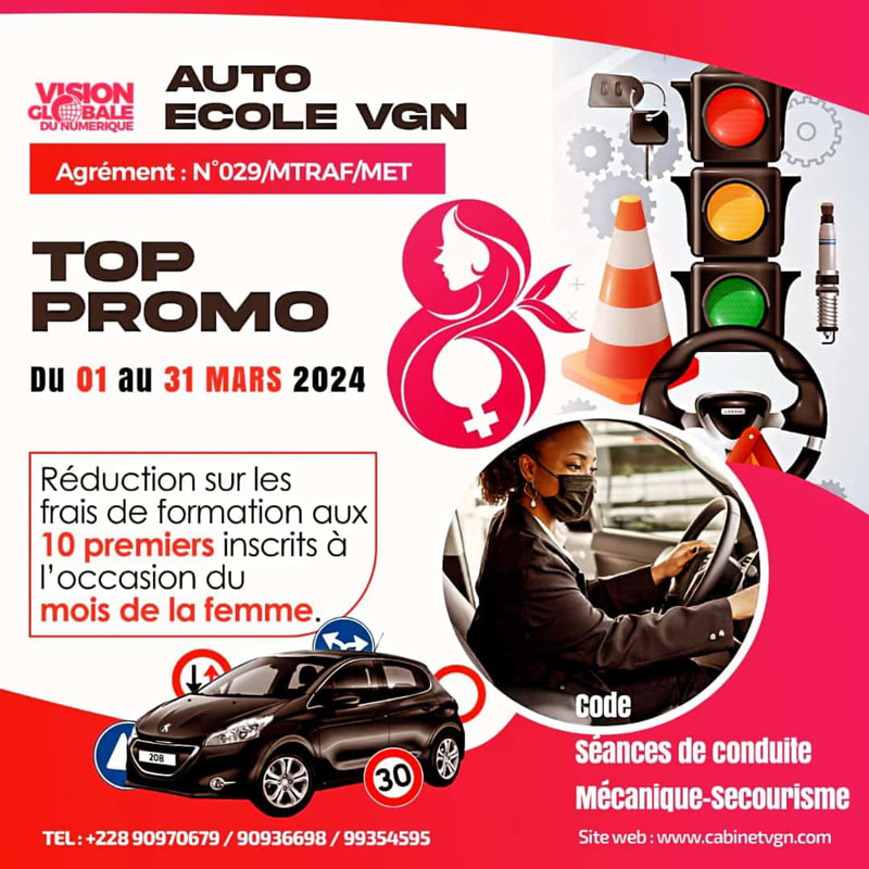 AUTO ECOLE VISION GLOBALE DU NUMERIQUE (VGN AGREE) - Auto-écoles