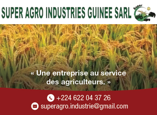 SUPER AGRO INDUSTRIES GUINEE SARL - Agro-industrie
