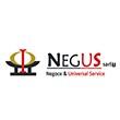 NEGUS SARLU - Produits d'entretien