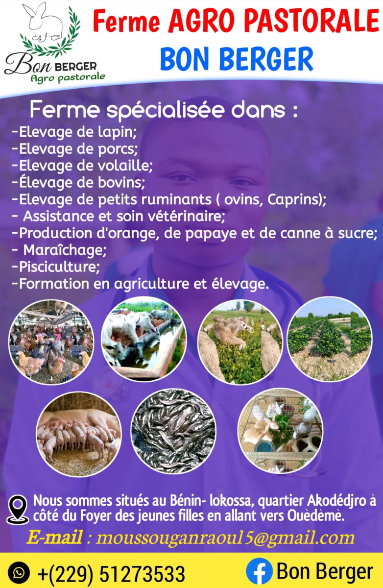 BON BERGER AGRO-PASTORALE - Elevage