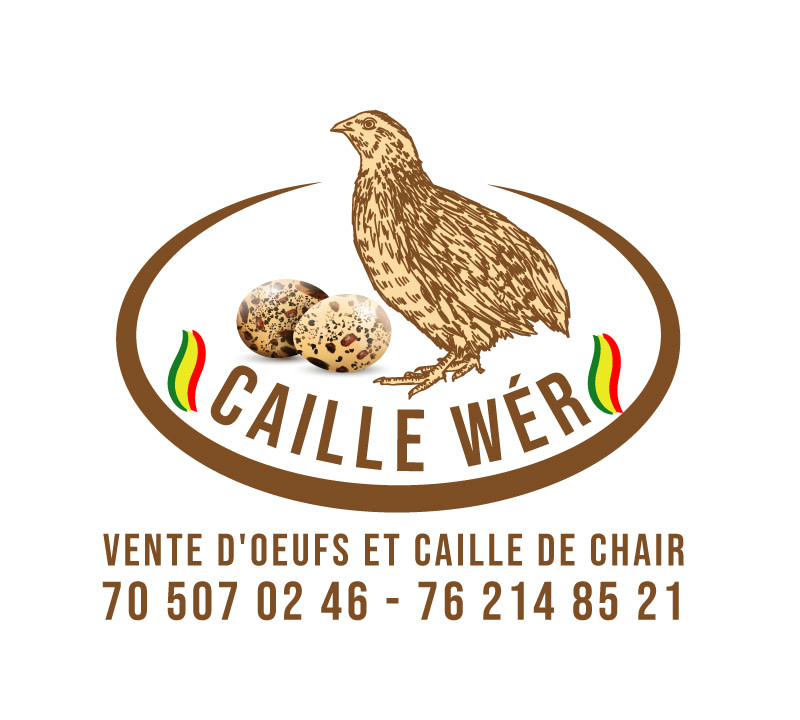 CAILLE WER SN - Elevage