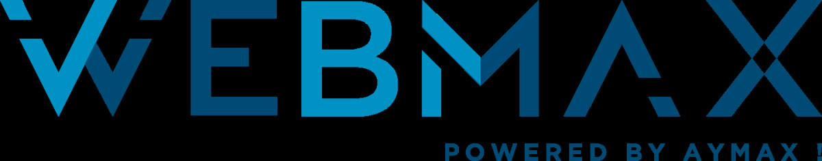 WEB MAX AGENCY - Informatique