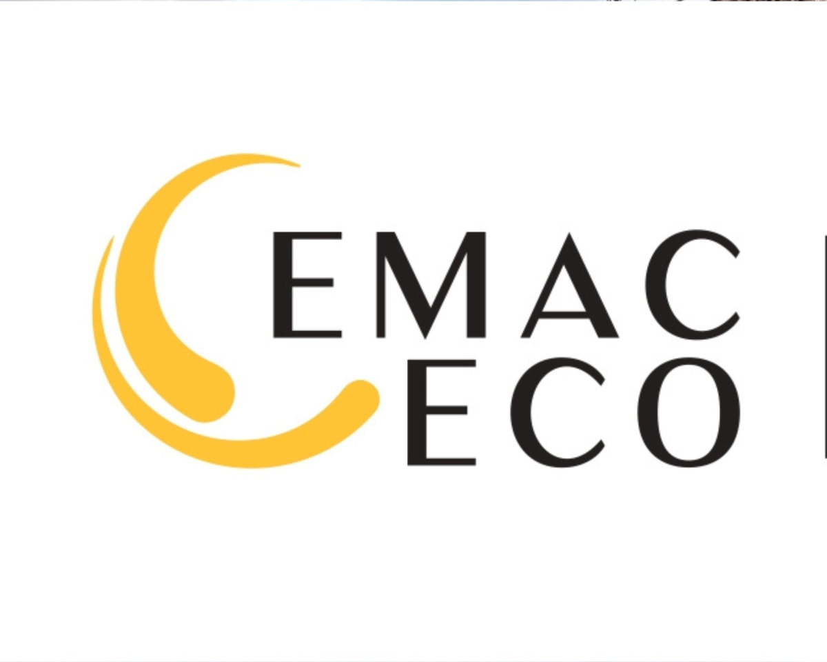 CEMAC ECO FINANCE - Journaux - Presse - Magazine