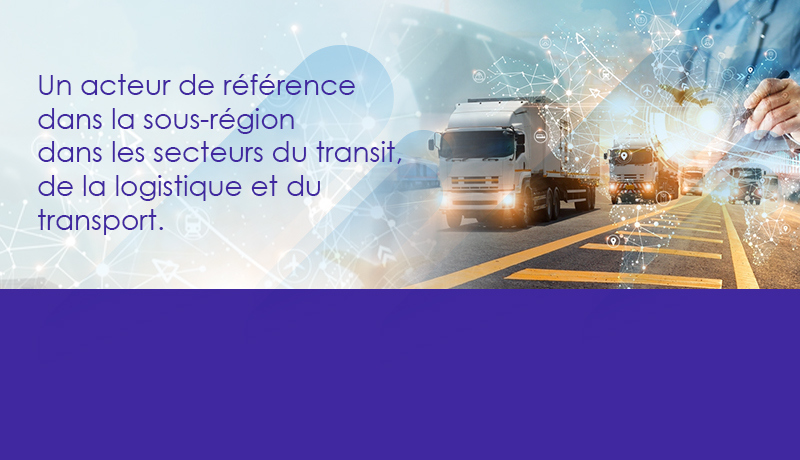 CAT LOGISTICS SARL (COMPAGNIE D'AFFRETEMENT ET DE TRANSIT LOGISTICS ...