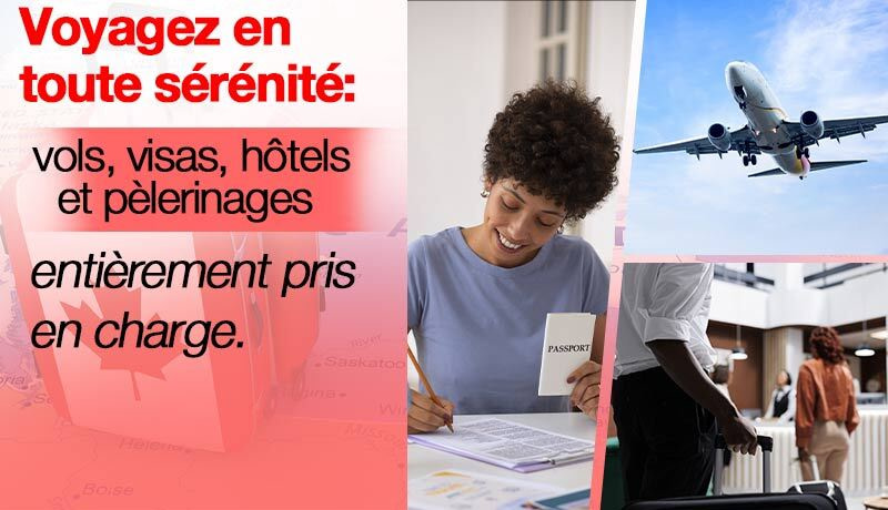 ETS LYNE IMMIGRATION ET SERVICES - Agences de voyage