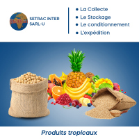 SETRAC INTER SARL (SECTEUR DE TRANSIT ET COMMERCE INTERNATIONAL SARL ...