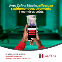 COFINA TOGO S.A (COMPAGNIE FINANCIERE AFRICAINE) : Mésofinance