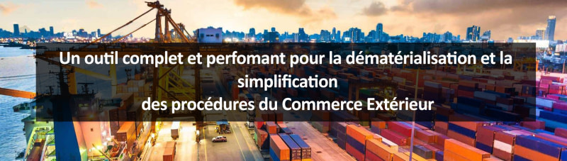 GUCE CI (GUICHET UNIQUE DU COMMERCE EXTERIEUR) côte d'ivoire: Informatique