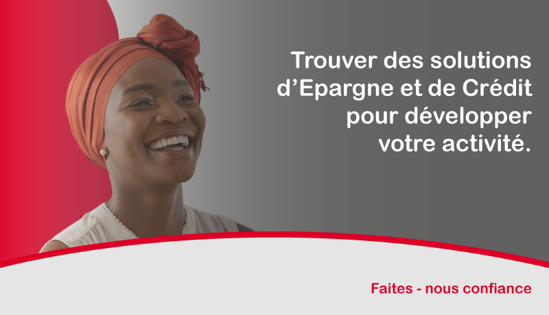 COFINA TOGO S.A (COMPAGNIE FINANCIERE AFRICAINE) : Mésofinance