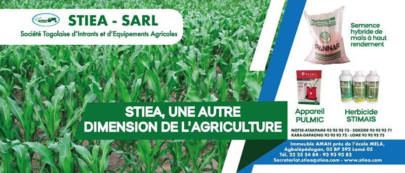 Stiea : Deratisation - Desinsectisation Lome Togo