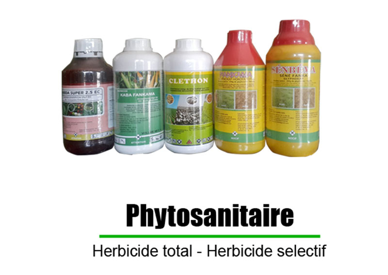EKAP AGRO INDUSTRIE GUINEE SARL : Agroalimentaire, agro-industrie