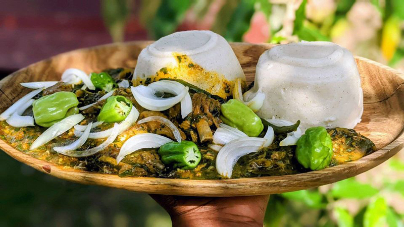 ESPACE AERE AQUALAND - Parcs d'attraction