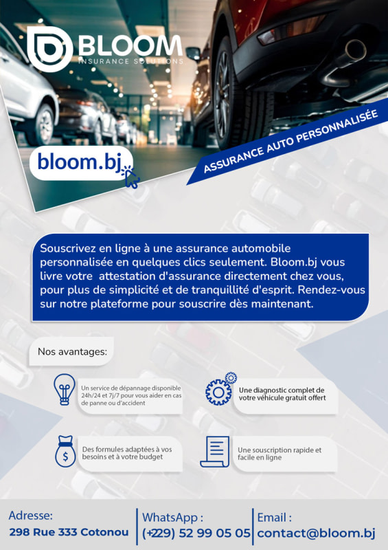 BLOOM INSURANCE - Assurances - Courtiers