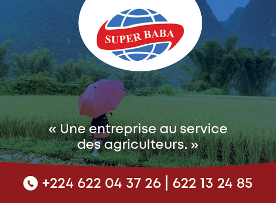 SUPER AGRO INDUSTRIES GUINEE SARL - Agro-industrie