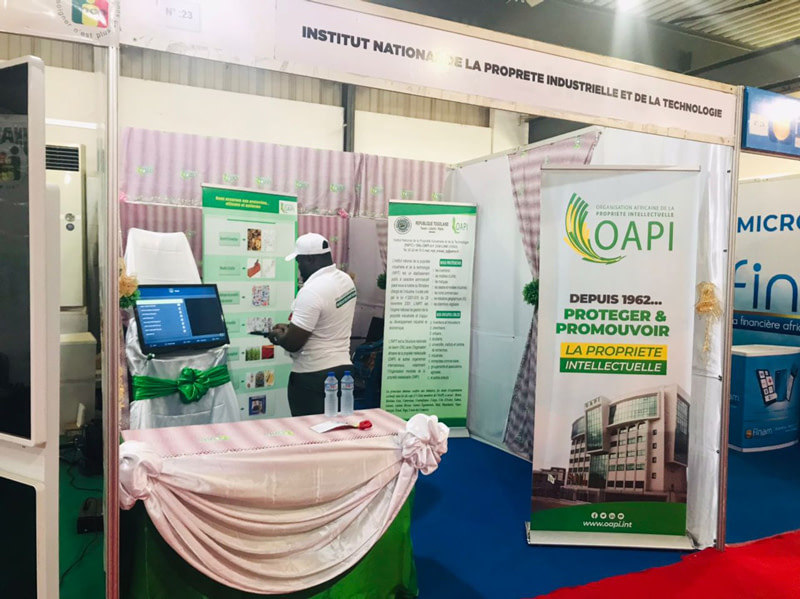 INPIT (INSTITUT NATIONAL DE LA PROPRIETE INDUSTRIELLE ET DE LA TECHNOLOGIE) : Propriété ...