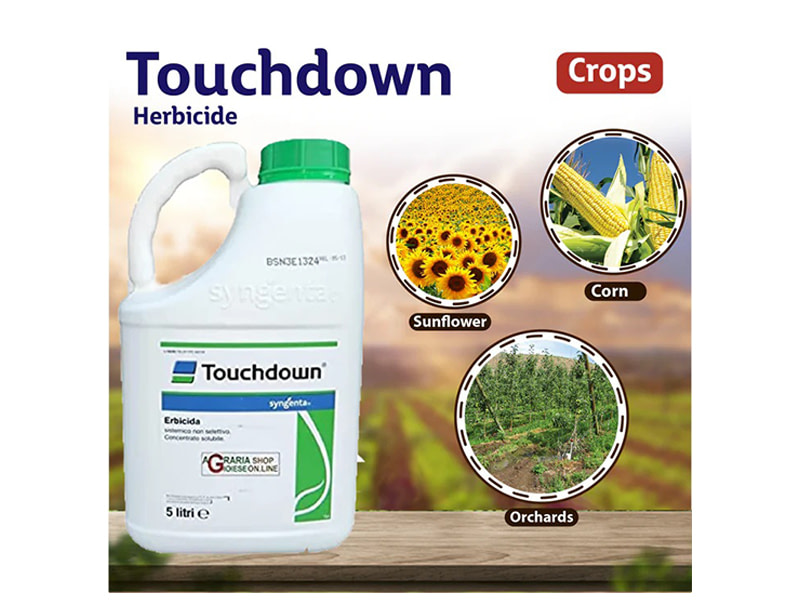 SYNGENTA CÔTE D'IVOIRE: Produits phytosanitaires Abidjan, Côte d'ivoire