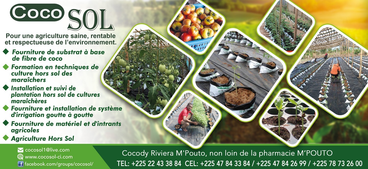 COCO SOL - Agriculture