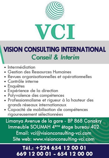 VISION CONSULTING INTERNATIONAL - Bureaux d'études - Conseils - Consultants