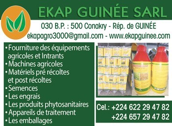 EKAP GUINEE SARL - Import et export