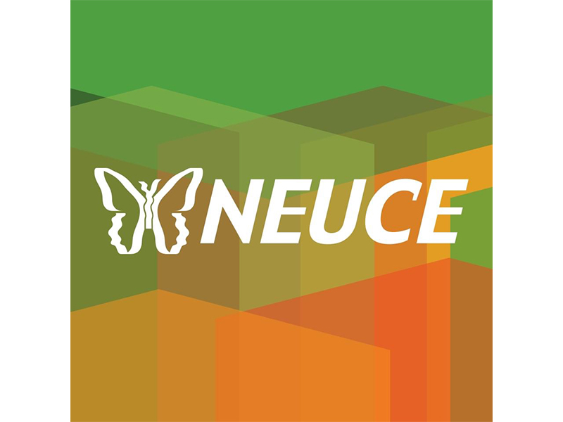 NEUCE Côte d'Ivoire : Peinture