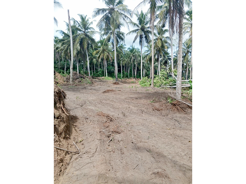 KKJK TOPOGRAPHIE Abidjan, Côte d'Ivoire