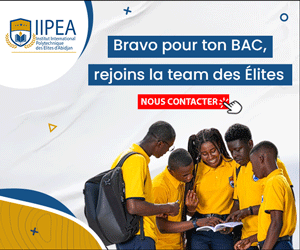 IIPEA : Formation universitaire, Enseignement supérieur Abidjan - Côte ...