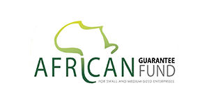 FIN'Elle Côte d'Ivoire: Microfinance