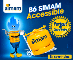 SIMAM COTE D'IVOIRE : Distribution de bouteilles de gaz et produits ...