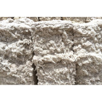 Les sociétés d'alimentation animale de Côte d’Ivoire