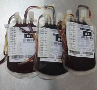 Les laboratoires d'analyses médicales du Togo